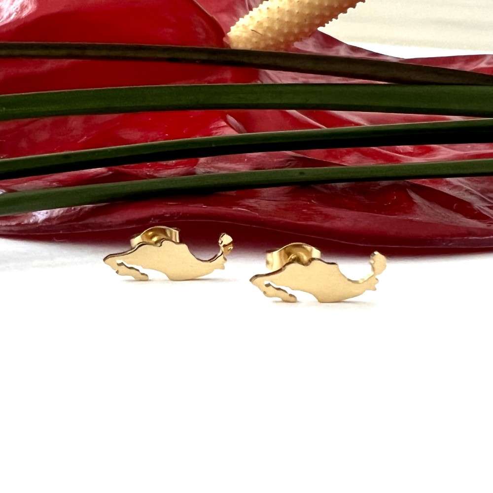 Aretes mini México - Albor Arte Mx